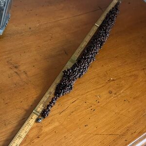 Kyetaka | Accessories | Antique Hawaiian Poleho Shell Lei | Poshmark